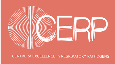 Logo CERP — Centre International de Recherche en Infectiologie
